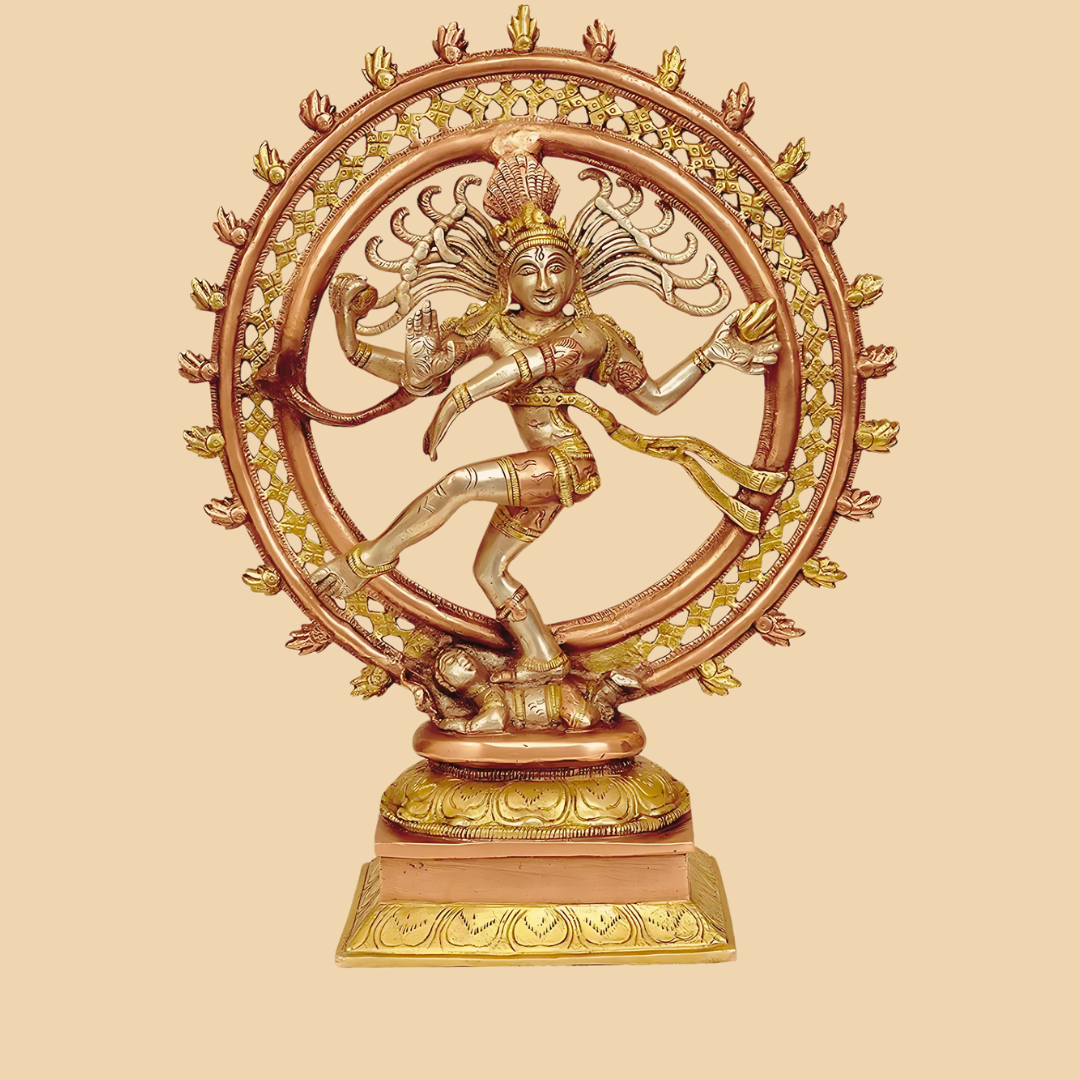 The Divine Dance: Siva's Tandava & Yoga - Agi Wittich PhD